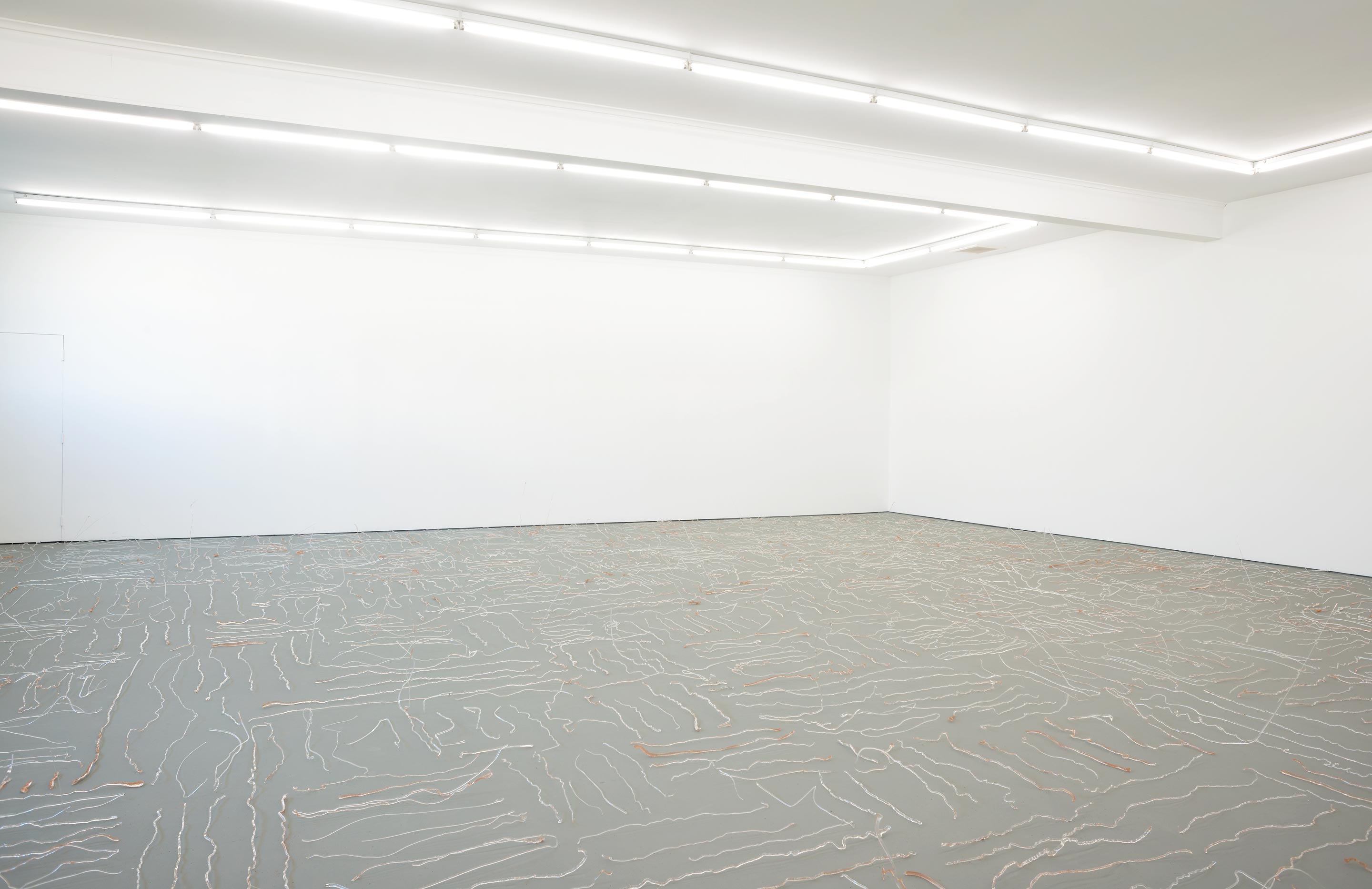 Dane Mitchell | HOPKINSON MOSSMAN