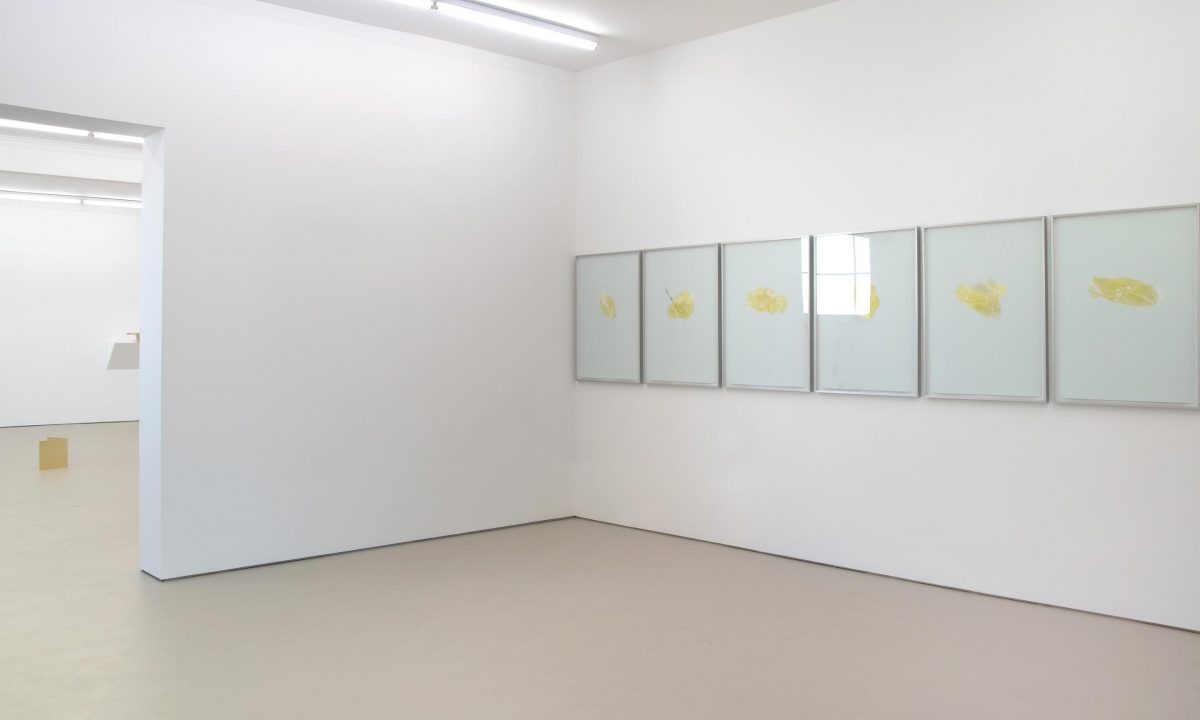 Dane Mitchell | HOPKINSON MOSSMAN