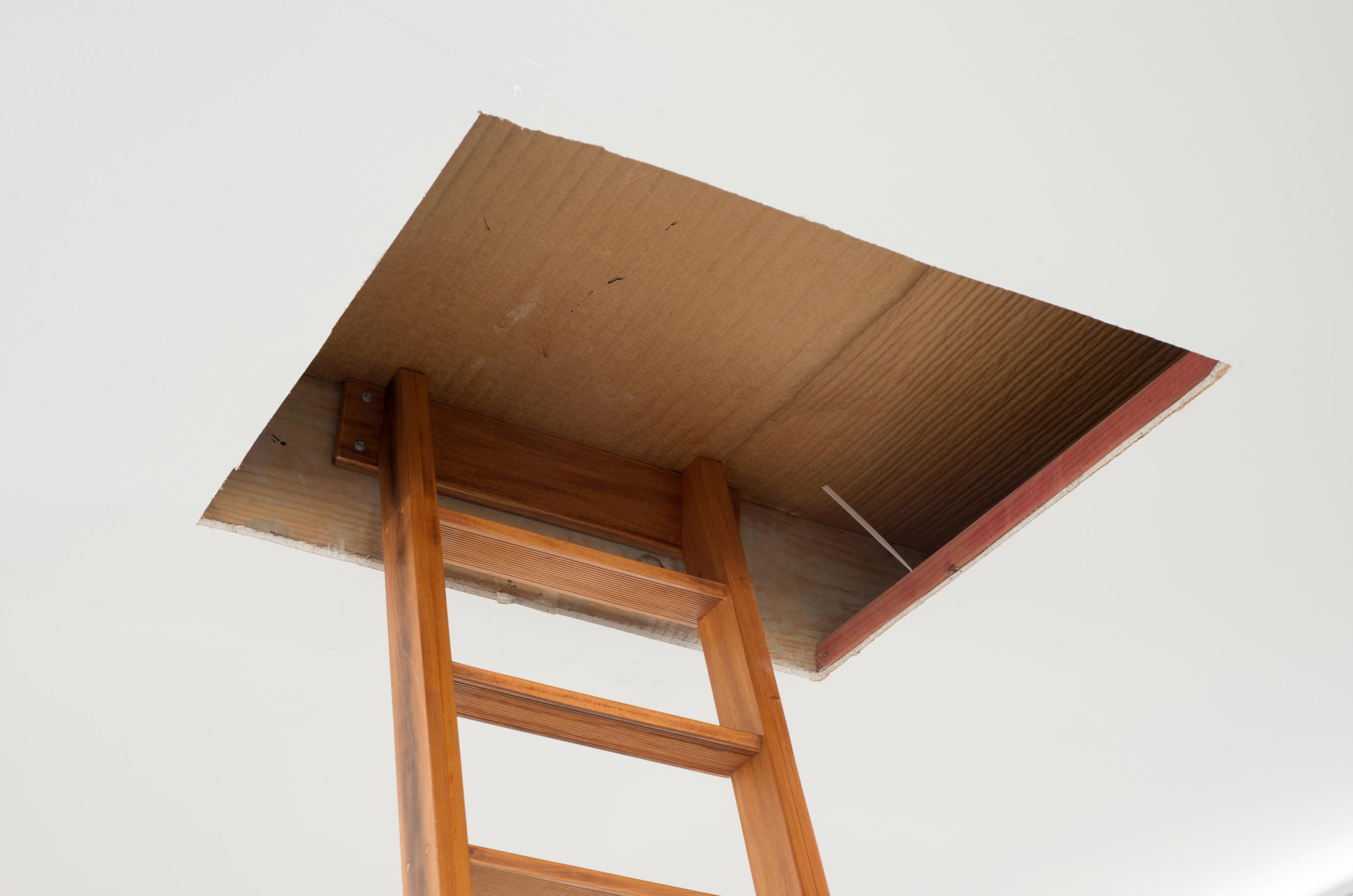 Dane Mitchell | HOPKINSON MOSSMAN