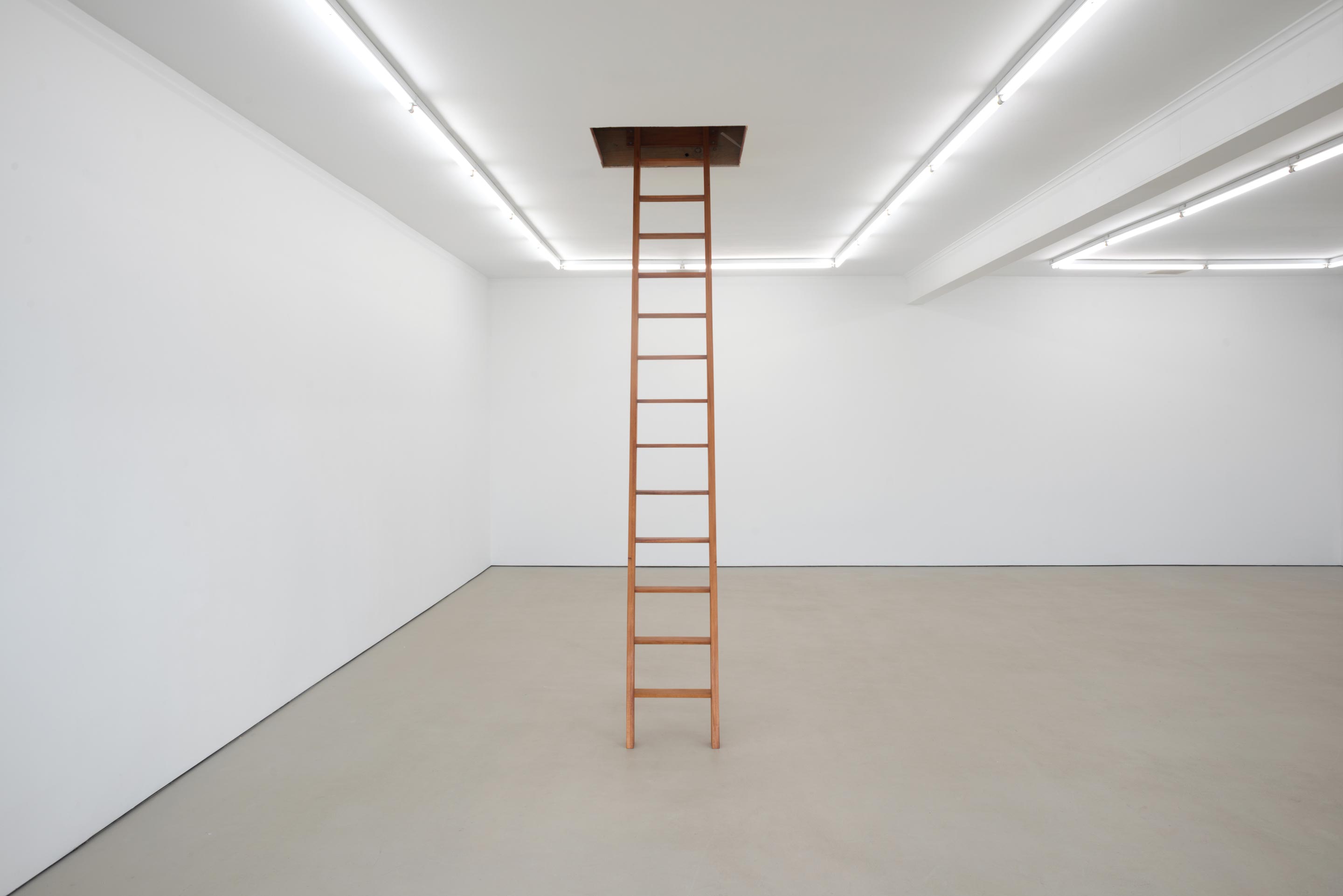 Dane Mitchell | HOPKINSON MOSSMAN