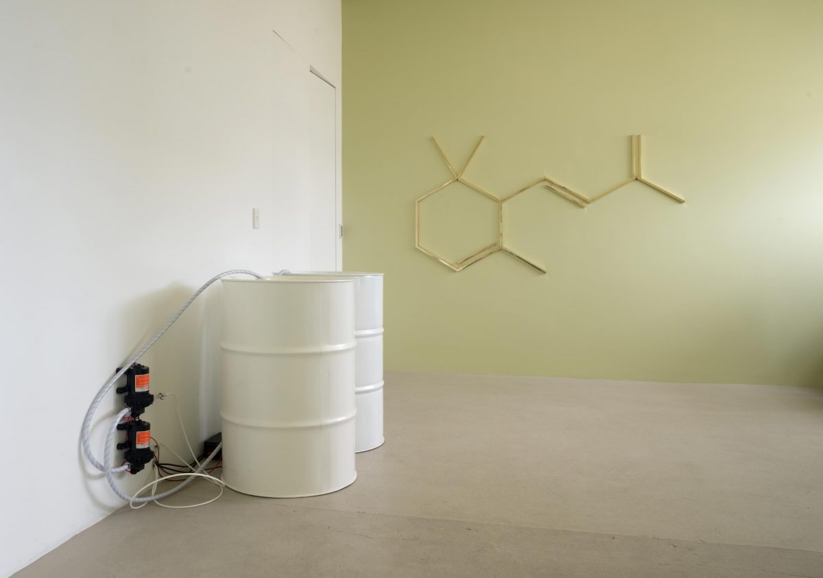 Dane Mitchell | HOPKINSON MOSSMAN