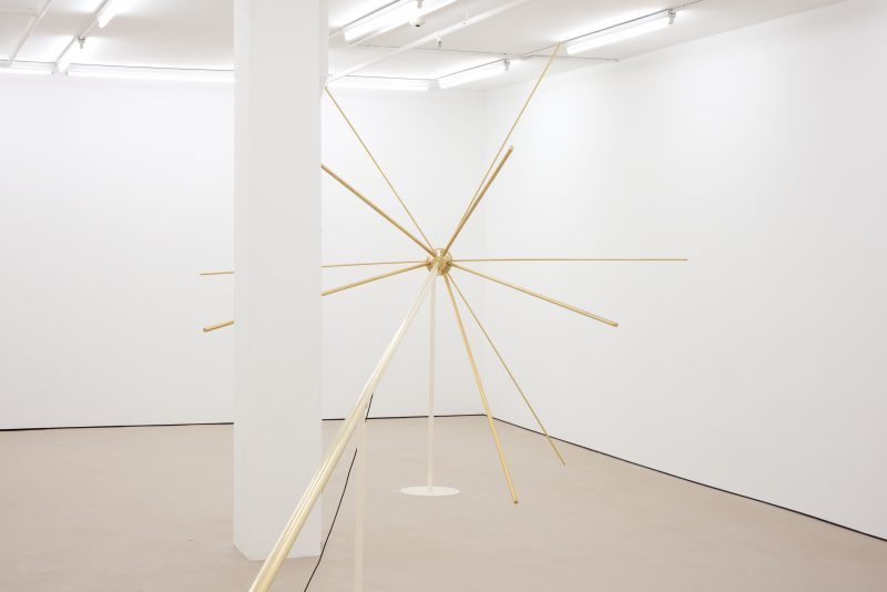 Dane Mitchell | HOPKINSON MOSSMAN