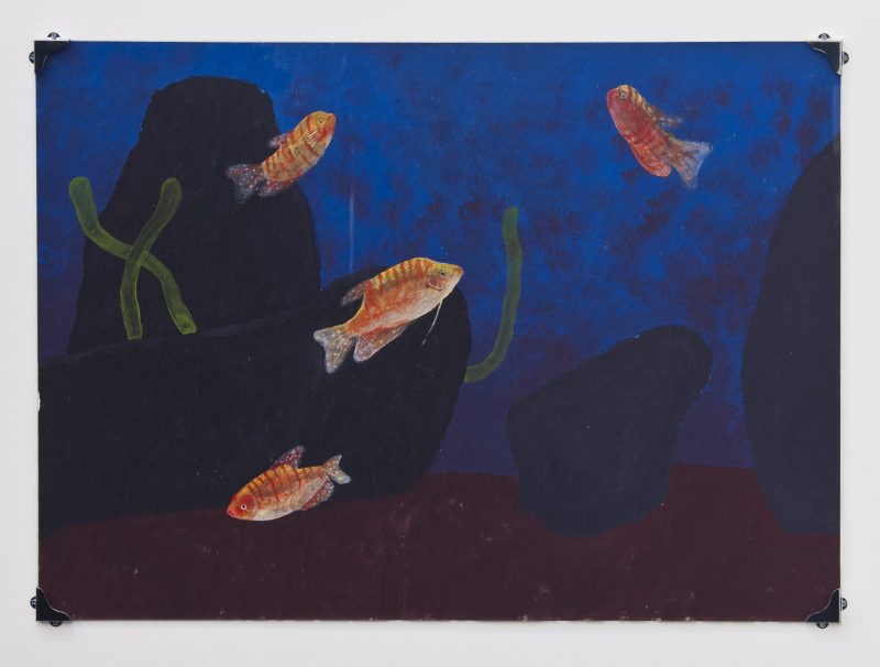 Nick Austin | HOPKINSON MOSSMAN