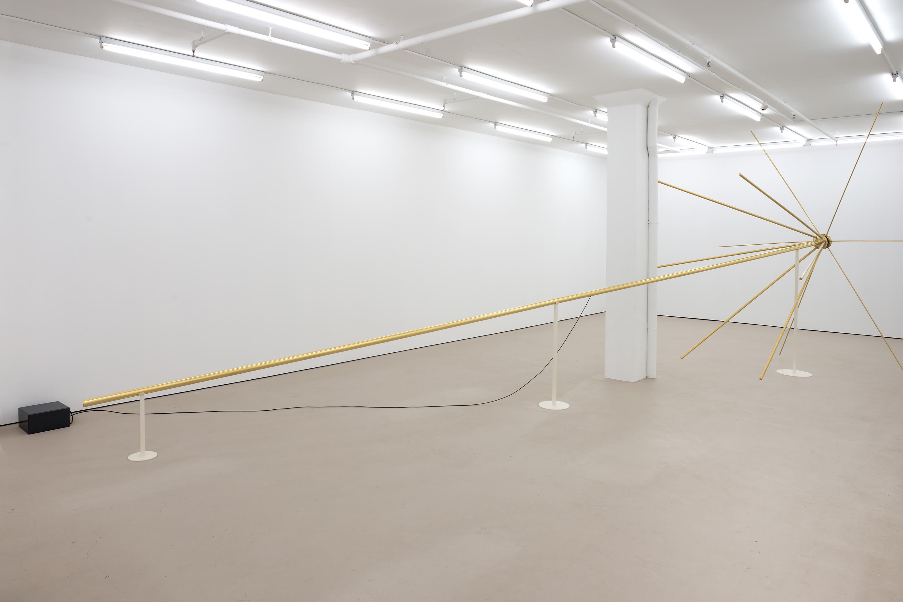 Dane Mitchell | HOPKINSON MOSSMAN